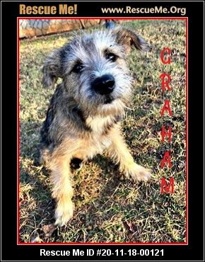 - Oklahoma Dog Rescue - ADOPTIONS - Rescue Me!