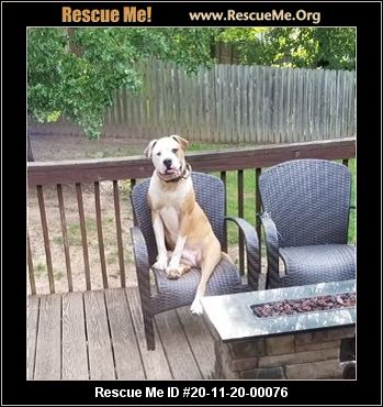 - Arkansas Dog Rescue - ADOPTIONS - Rescue Me!