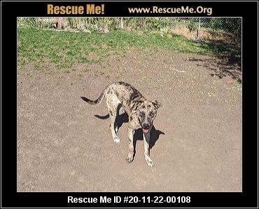 - Utah Dog Rescue - ADOPTIONS - Rescue Me!