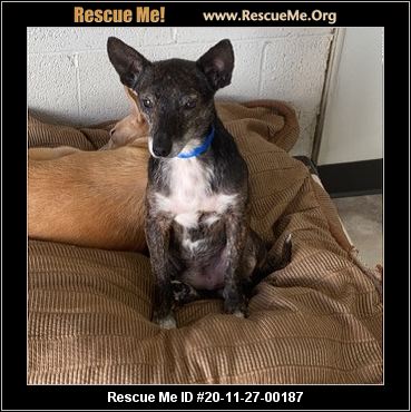 - Oregon Dog Rescue - ADOPTIONS - Rescue Me!