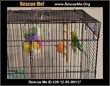 - Georgia Pet Bird Rescue - ADOPTIONS - Rescue Me!