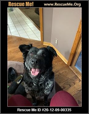 - Nebraska Dog Rescue - ADOPTIONS - Rescue Me!