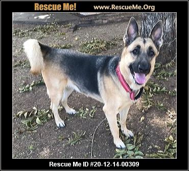 - Arizona Dog Rescue - ADOPTIONS - Rescue Me!