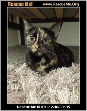 - California Manx Rescue - ADOPTIONS - Rescue Me!