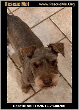 - Wisconsin Dog Rescue - ADOPTIONS - Rescue Me!