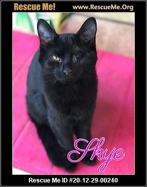 - Maryland Cat Rescue - ADOPTIONS - Rescue Me!