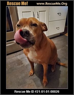 - D.C. Mutt Rescue - ADOPTIONS - Rescue Me!