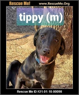 - Michigan Dog Rescue - ADOPTIONS - Rescue Me!