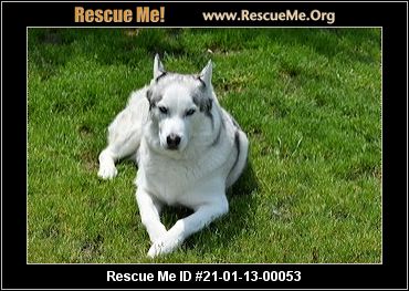 - Alabama Dog Rescue - ADOPTIONS - Rescue Me!