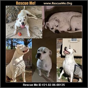 - California Dog Rescue - ADOPTIONS - Rescue Me!