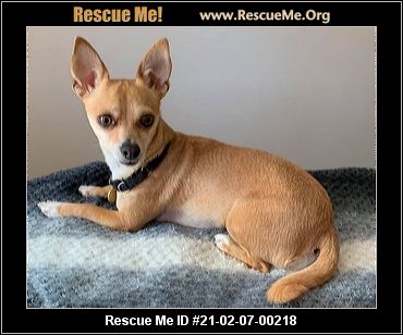 - California Dog Rescue - ADOPTIONS - Rescue Me!