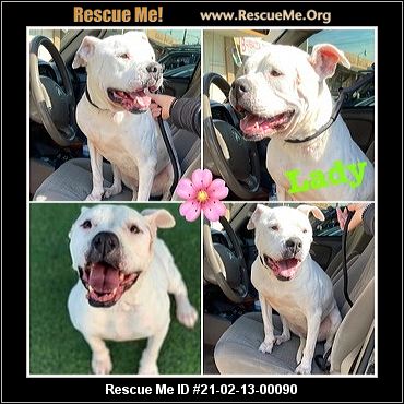 - Oregon Dog Rescue - ADOPTIONS - Rescue Me!