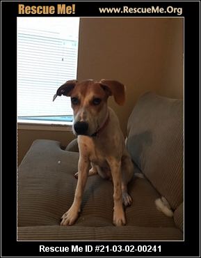 - Texas Mutt Rescue - ADOPTIONS - Rescue Me!