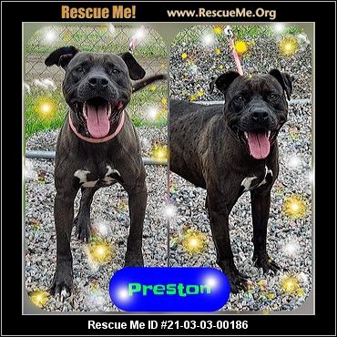 - Texas Mutt Rescue - ADOPTIONS - Rescue Me!