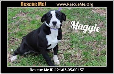 - Conway Animal Welfare Unit - Conway, AR - AVAILABLE PETS