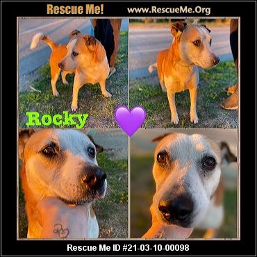 - Oregon Dog Rescue - ADOPTIONS - Rescue Me!