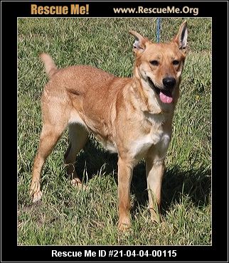 - Texas Mutt Rescue - ADOPTIONS - Rescue Me!