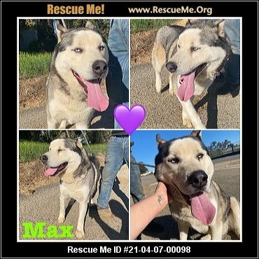 - Oregon Dog Rescue - ADOPTIONS - Rescue Me!
