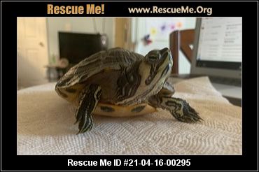 - New York Reptile/Amphibian Rescue - ADOPTIONS - Rescue Me!