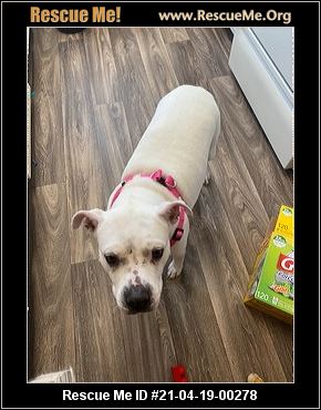 - Nevada Dog Rescue - ADOPTIONS - Rescue Me!