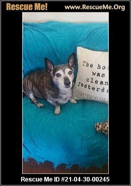 - Wisconsin Corgi Rescue - ADOPTIONS - Rescue Me!