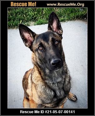 - Utah Dog Rescue - ADOPTIONS - Rescue Me!