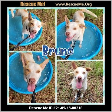 - Mercy Rescue Haven - SC - AVAILABLE PETS