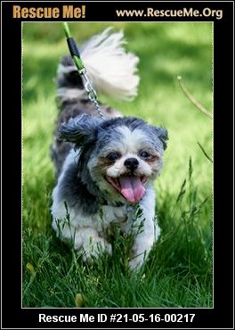 - New Jersey Dog Rescue - ADOPTIONS - Rescue Me!