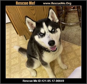 - North Dakota Dog Rescue - ADOPTIONS - Rescue Me!