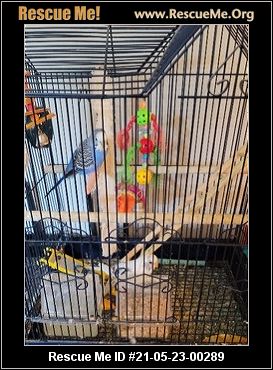 - Washington Pet Bird Rescue - ADOPTIONS - Rescue Me!