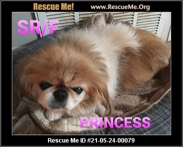 - Florida Pekingese Rescue - ADOPTIONS - Rescue Me!