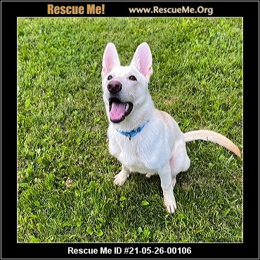 - New Jersey Dog Rescue - ADOPTIONS - Rescue Me!