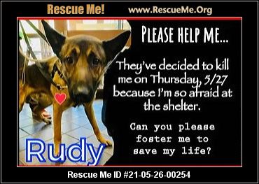 - New York German Shepherd Rescue - ADOPTIONS - Rescue Me!