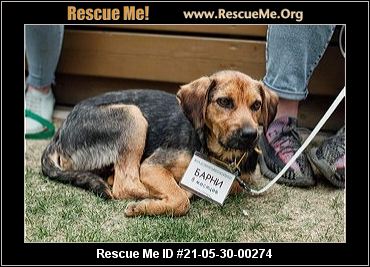 - Maryland Dog Rescue - ADOPTIONS - Rescue Me!
