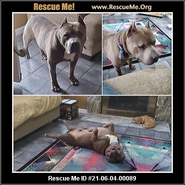 - Delaware Dog Rescue - ADOPTIONS - Rescue Me!