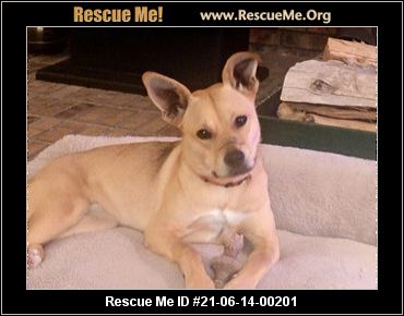 - Wyoming Dog Rescue - ADOPTIONS - Rescue Me!