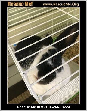 - Virginia Rabbit Rescue - ADOPTIONS - Rescue Me!