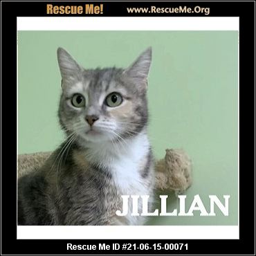 - Pennsylvania Cat Rescue - ADOPTIONS - Rescue Me!