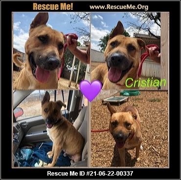 - Oregon Dog Rescue - ADOPTIONS - Rescue Me!