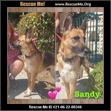 - Oregon Dog Rescue - ADOPTIONS - Rescue Me!