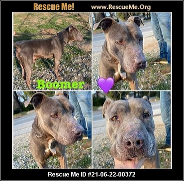 - Oregon Dog Rescue - ADOPTIONS - Rescue Me!