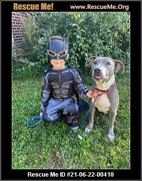 - Pennsylvania Mutt Rescue - ADOPTIONS - Rescue Me!