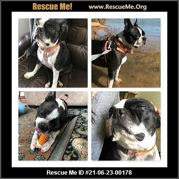 - Virginia Dog Rescue - ADOPTIONS - Rescue Me!