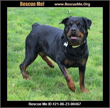 - Fur Fun Rescue Inc - Lisbon, IA - AVAILABLE PETS