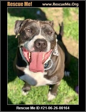 - Pennsylvania Mutt Rescue - ADOPTIONS - Rescue Me!