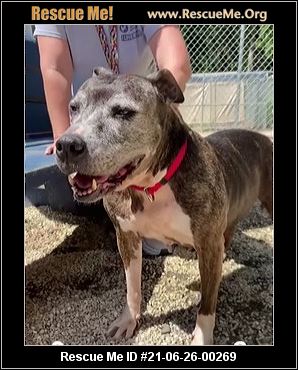 - New Jersey Dog Rescue - ADOPTIONS - Rescue Me!