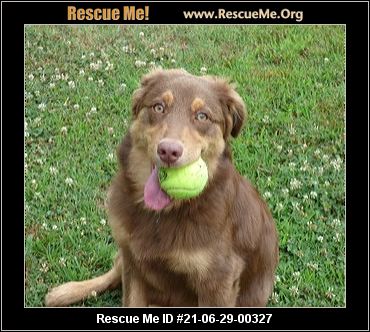 - Alabama Dog Rescue - ADOPTIONS - Rescue Me!