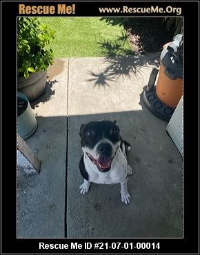 - California Dog Rescue - ADOPTIONS - Rescue Me!