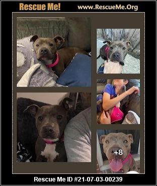 - Virginia Dog Rescue - ADOPTIONS - Rescue Me!