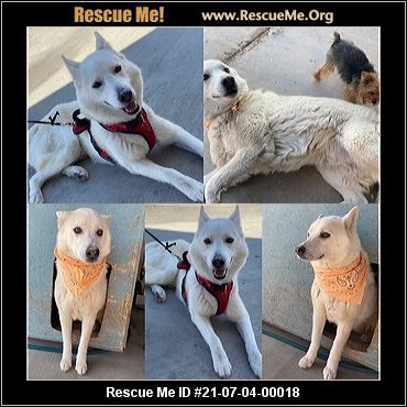 - California Dog Rescue - ADOPTIONS - Rescue Me!